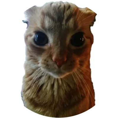 Unstable Coin price today - USDUC price chart & live trends