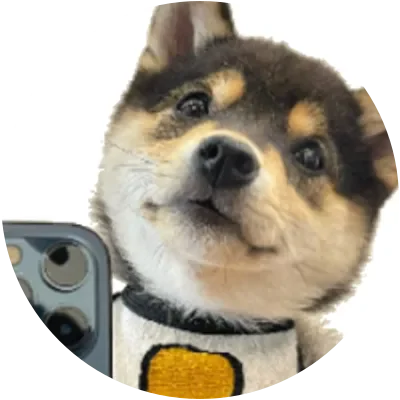 Shiba Inu price today in the UK - SHIB price (GBP & USD)