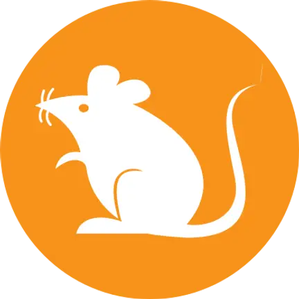 Rats price today - RATS price chart & live trends