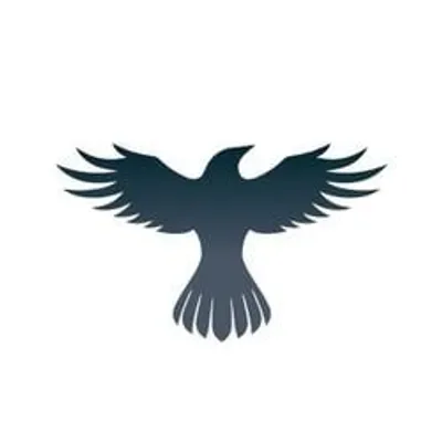 Raven Protocol price today - RAVEN price chart & live trends